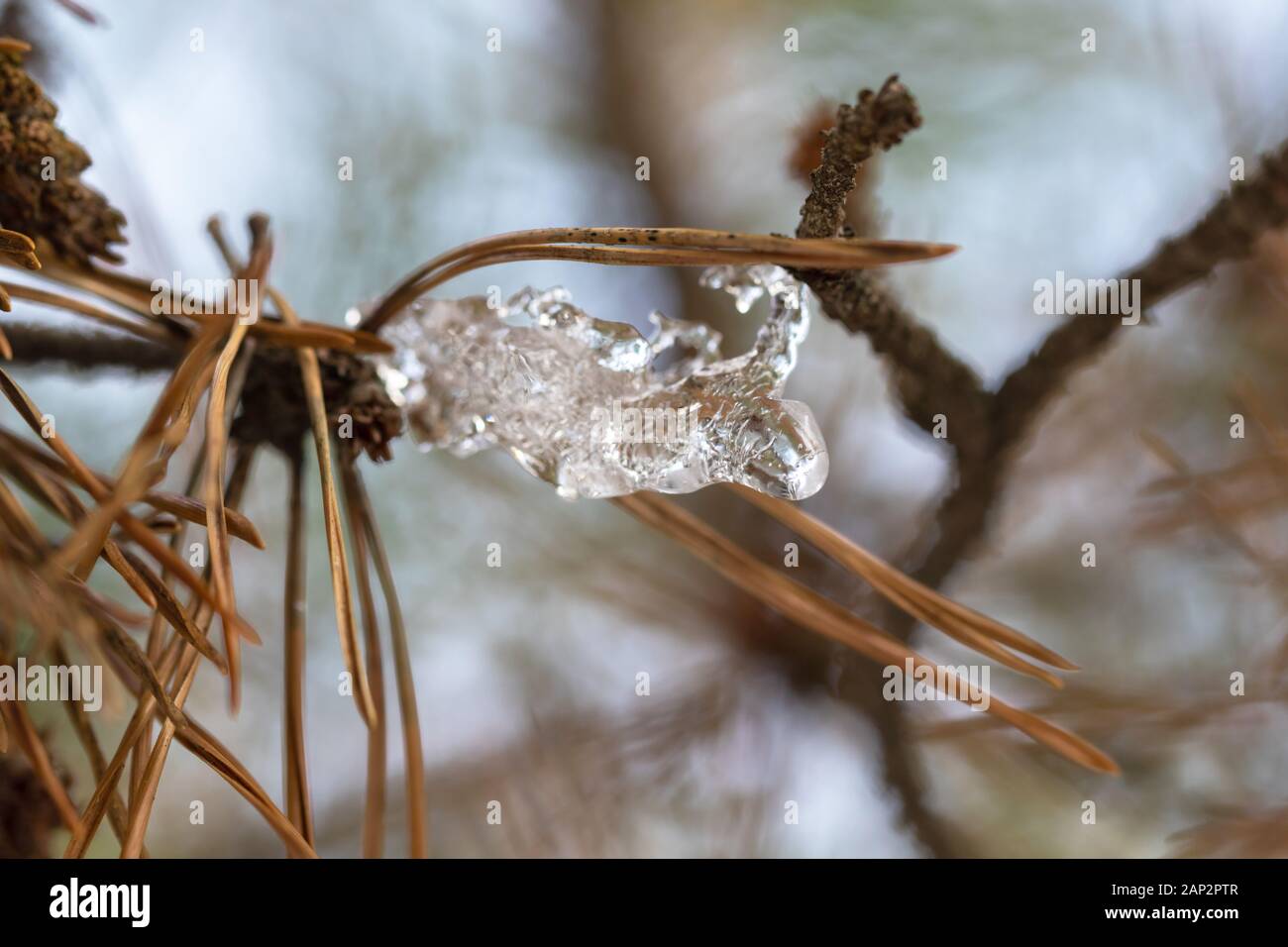 Ice forms hi-res stock photography and images - Alamy