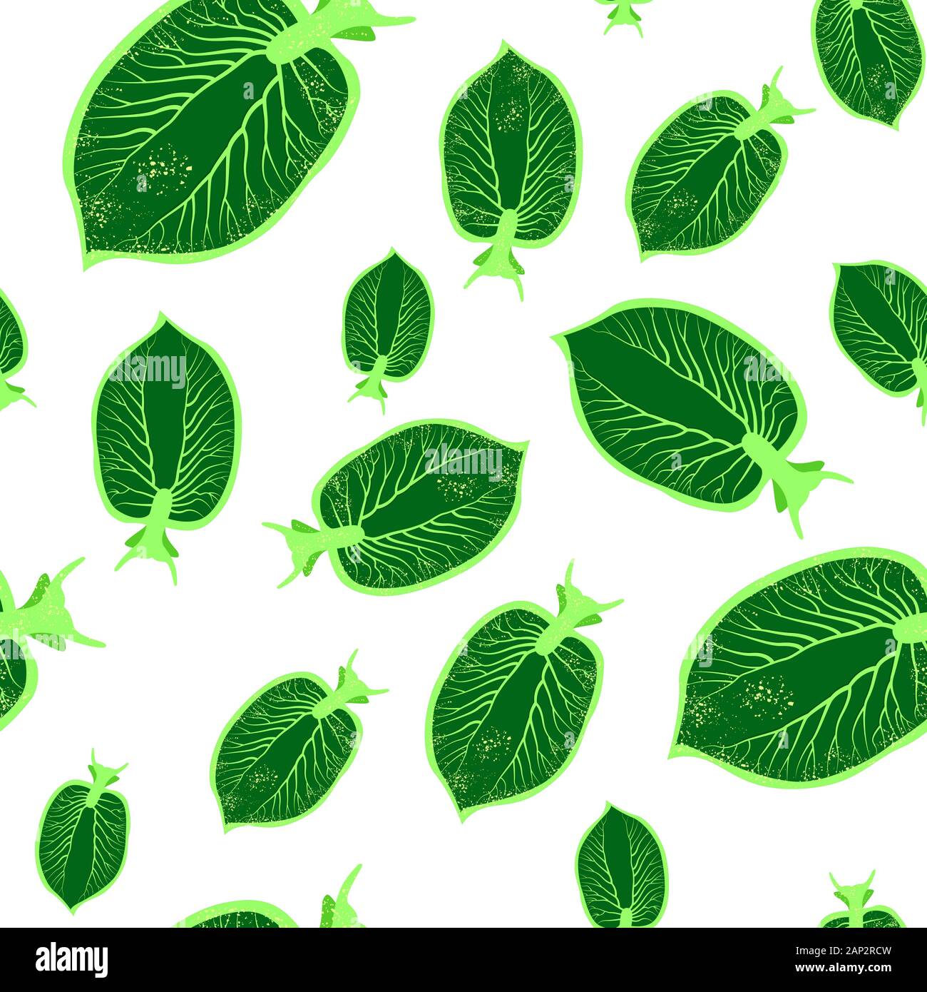 Elysia chlorotica. Eastern emerald elysia. Green sea slug, marine ...