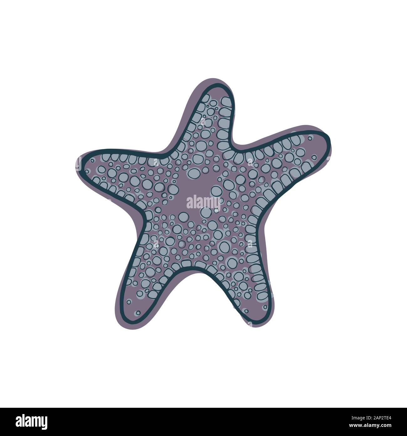 Gray starfish. Underwater animal. Vector illustration Star shape Stock ...
