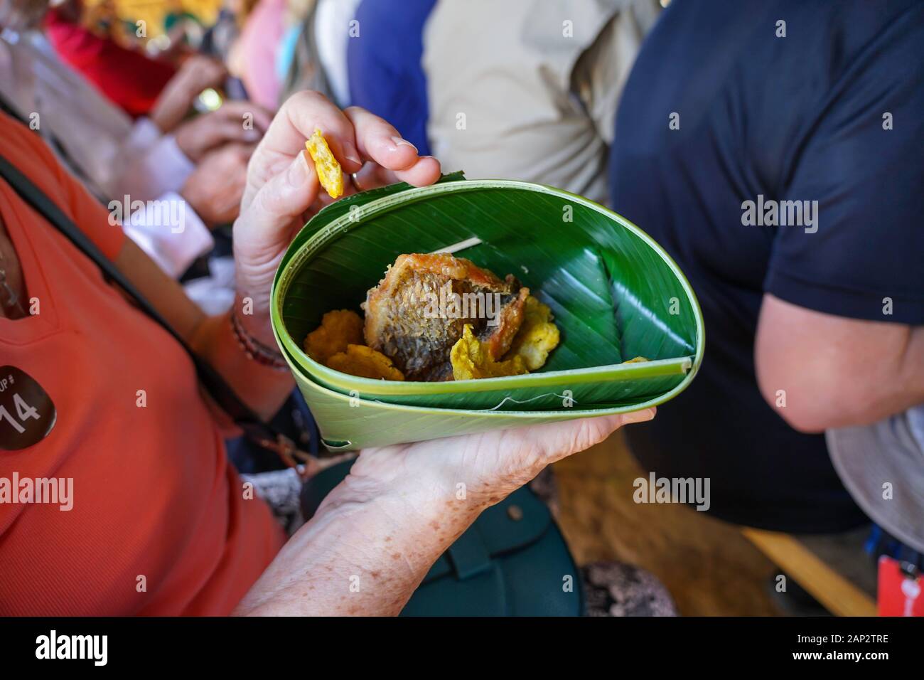 Serving food of fish and vegetables to the tourists, Embera Indigenous ...