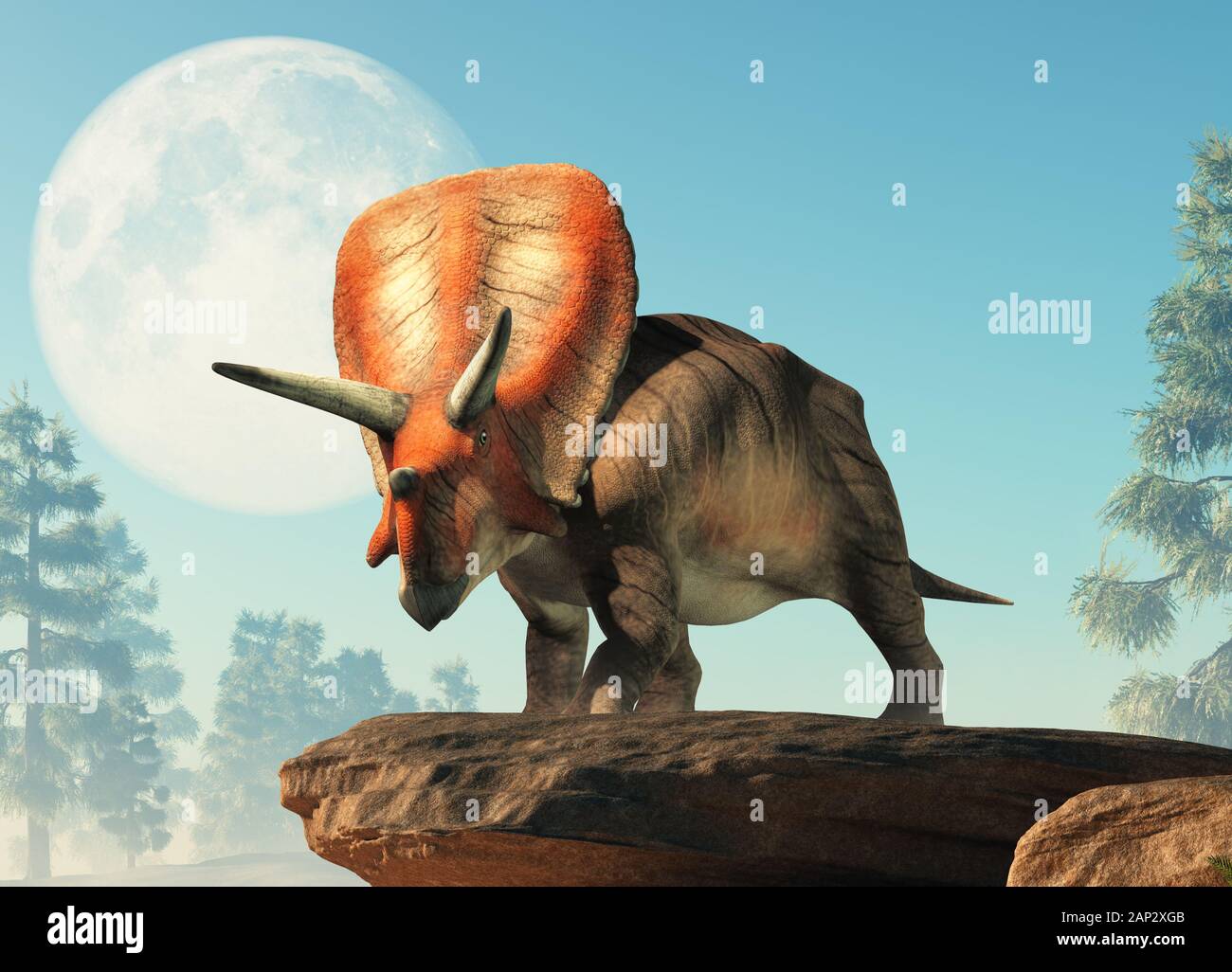 Torosaurus was ceratopsian dinosaur that was a frilled and horned, four ...