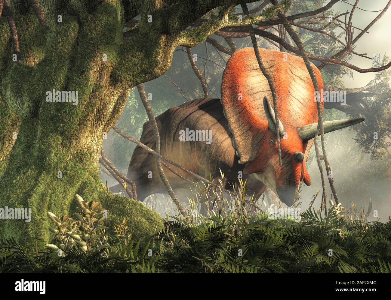Torosaurus was ceratopsian dinosaur that was a frilled and horned, four ...