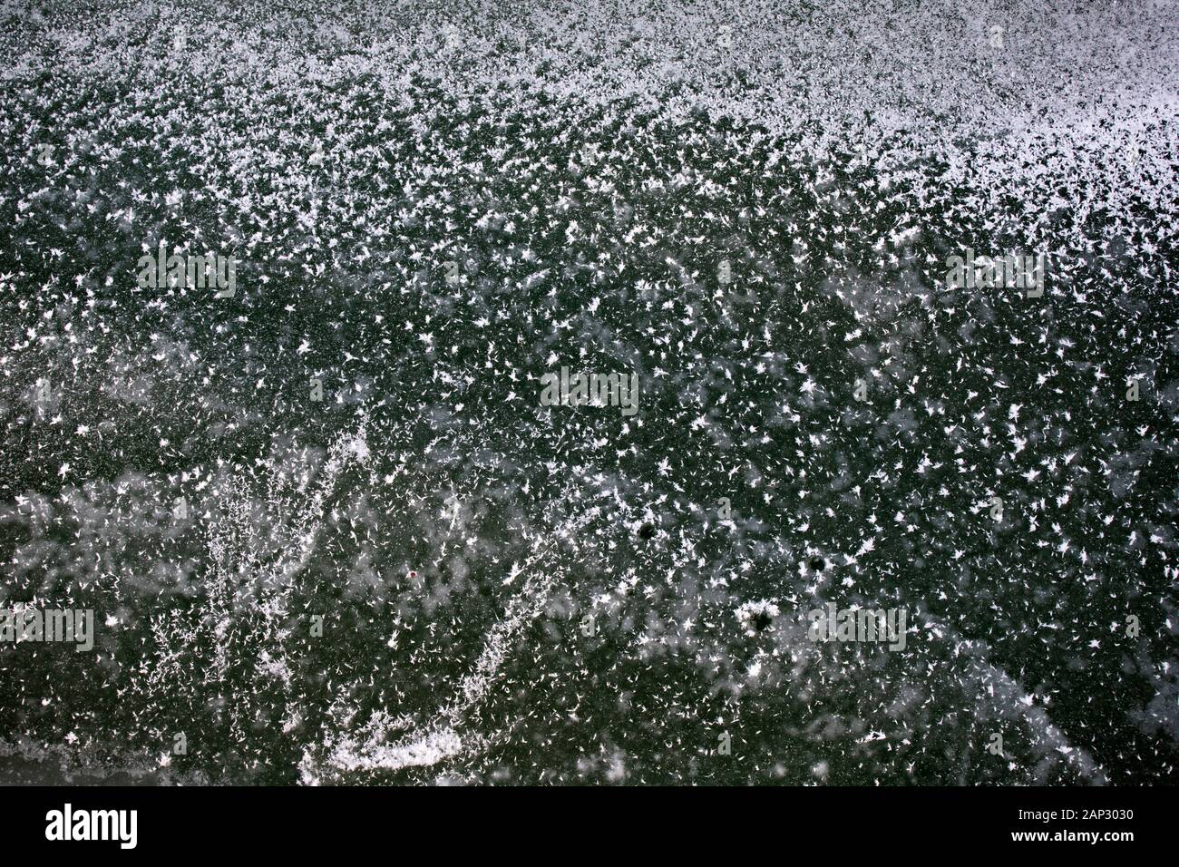 Texture of ice surface. Abstract background Stock Photo - Alamy