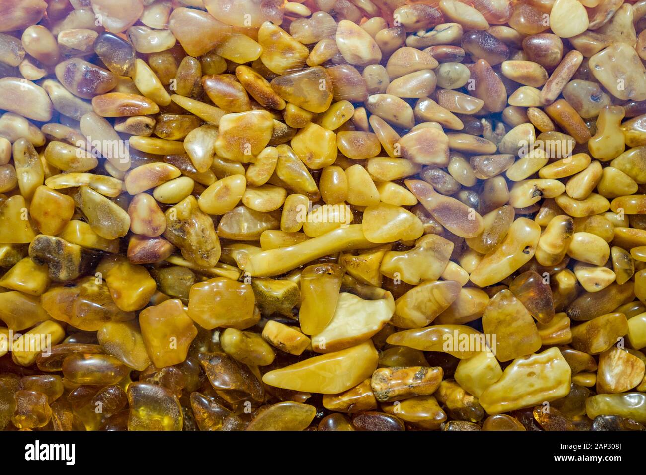 Amber grains with backlight illumination as texture or background. heap ...