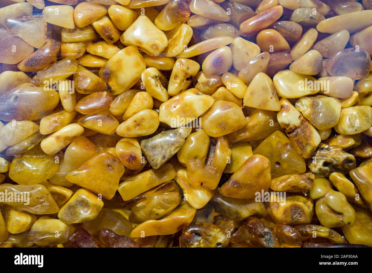 Amber grains with backlight illumination as texture or background. heap ...