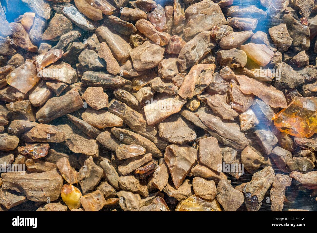 Amber grains with backlight illumination as texture or background. heap ...