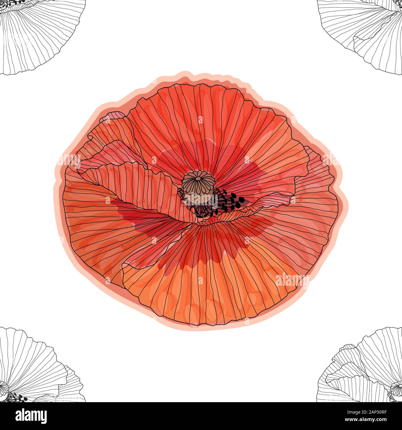Floral seamless pattern. Poppies background. Floral seamless texture ...