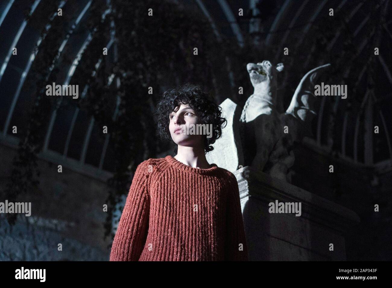 THE TURNING, Finn Wolfhard, 2020. ph: Patrick Redmond / © Universal ...