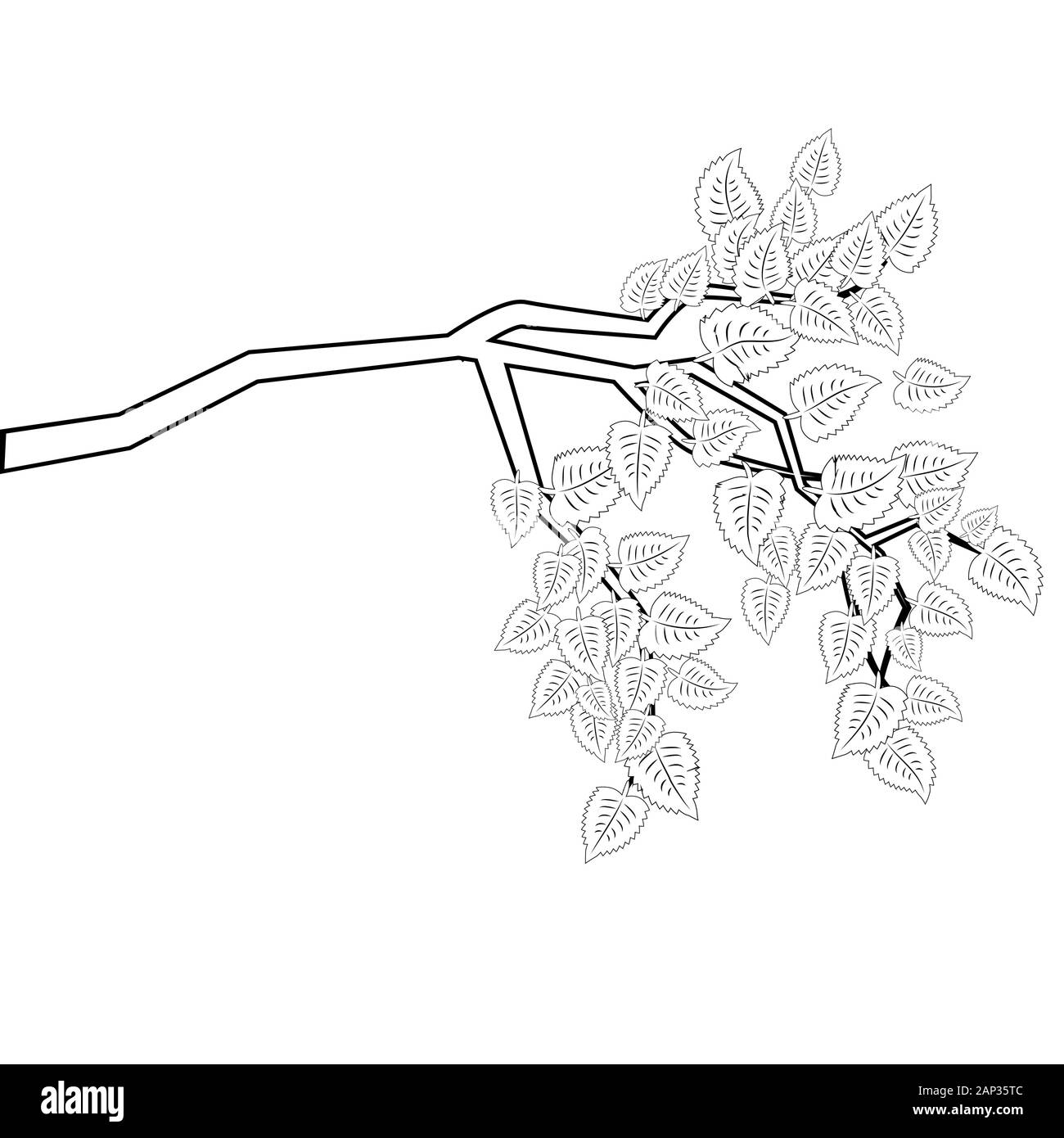 Coloring Branch with Flowers for Adults. Hand drawn artistically ethnic ...