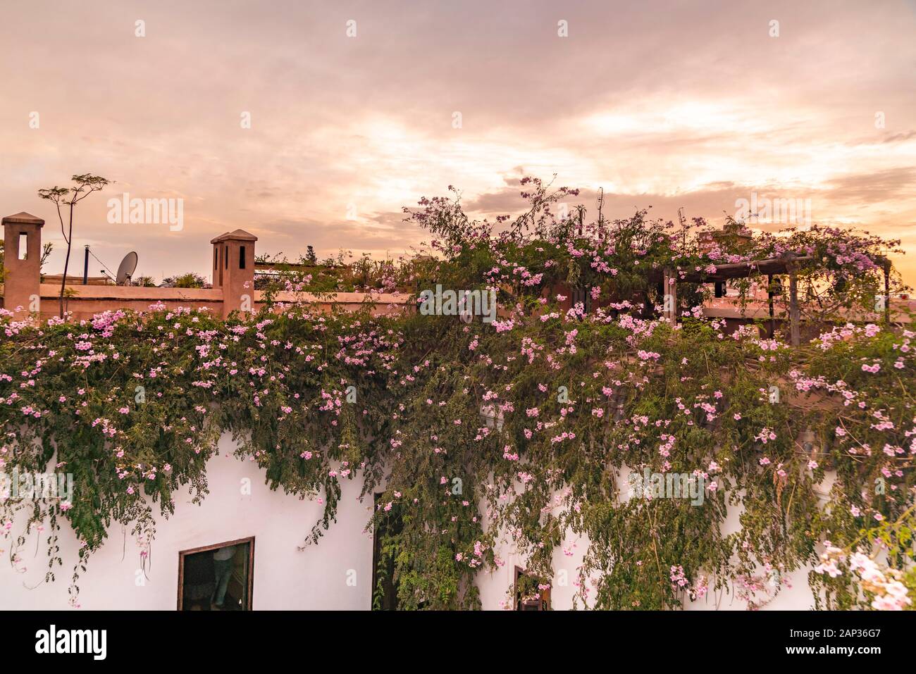 Moroccan rooftop terrace hi-res stock photography and images - Alamy