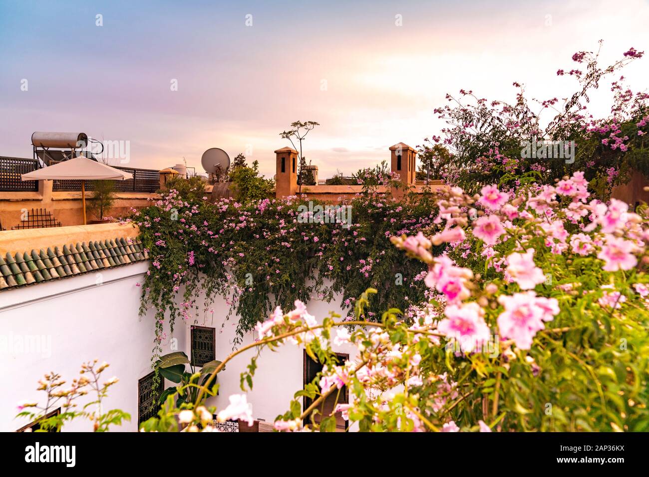 Marrakech rooftop view hi-res stock photography and images - Alamy