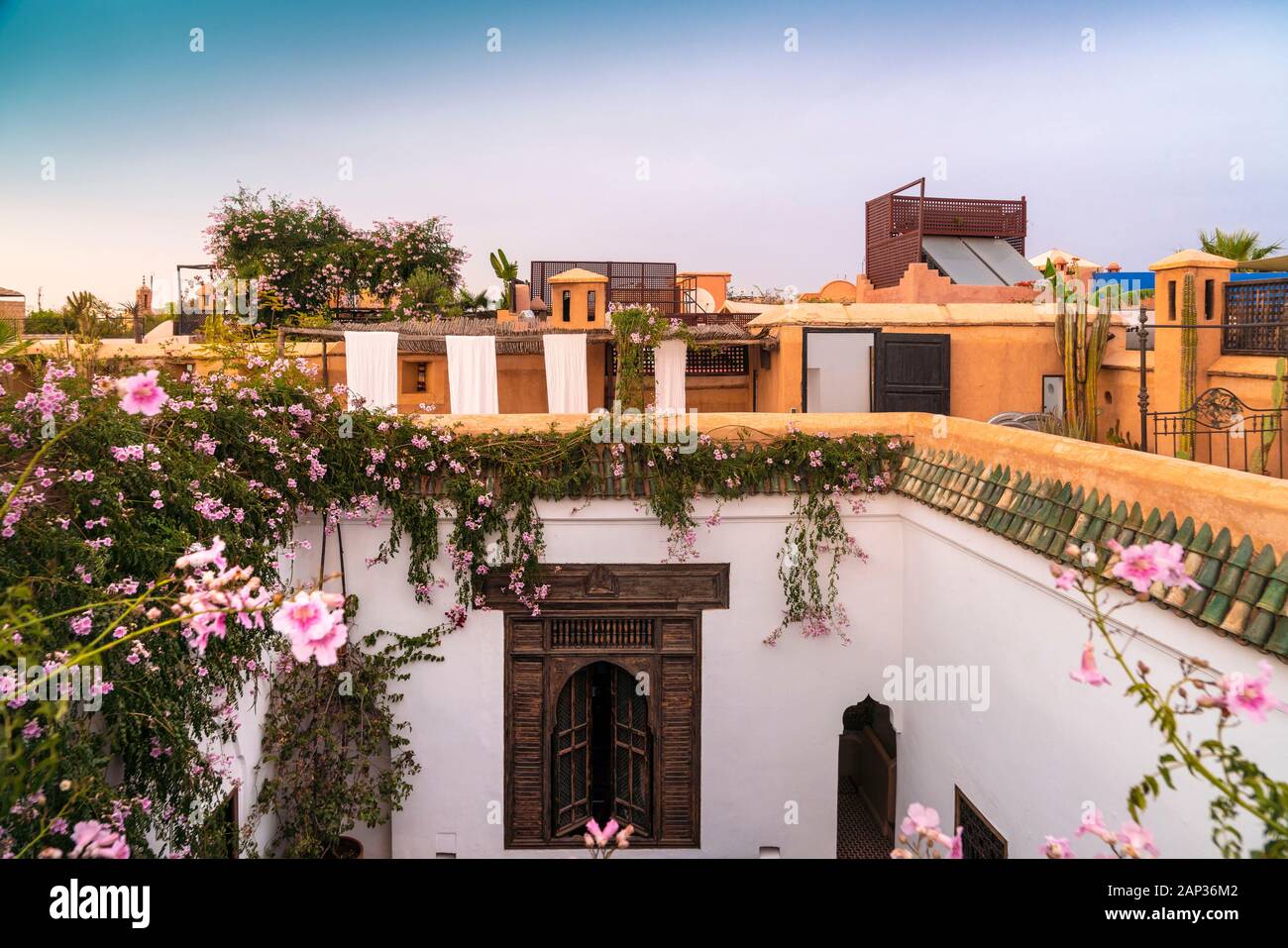 Rooftop of Riad in Marrakech with roses plants Stock Photo - Alamy