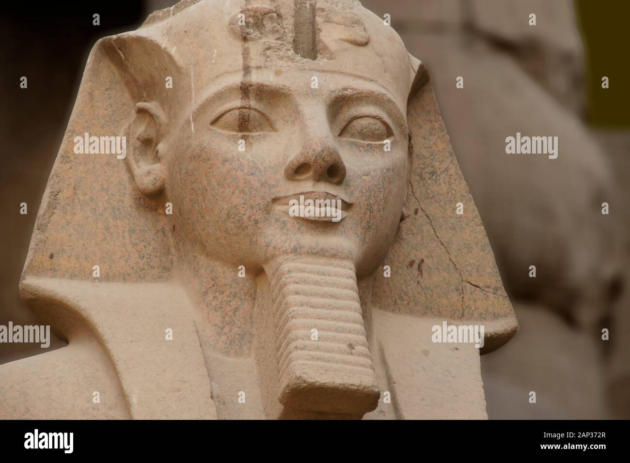 Head of ramesses ii statue at luxor temple hi-res stock photography and ...