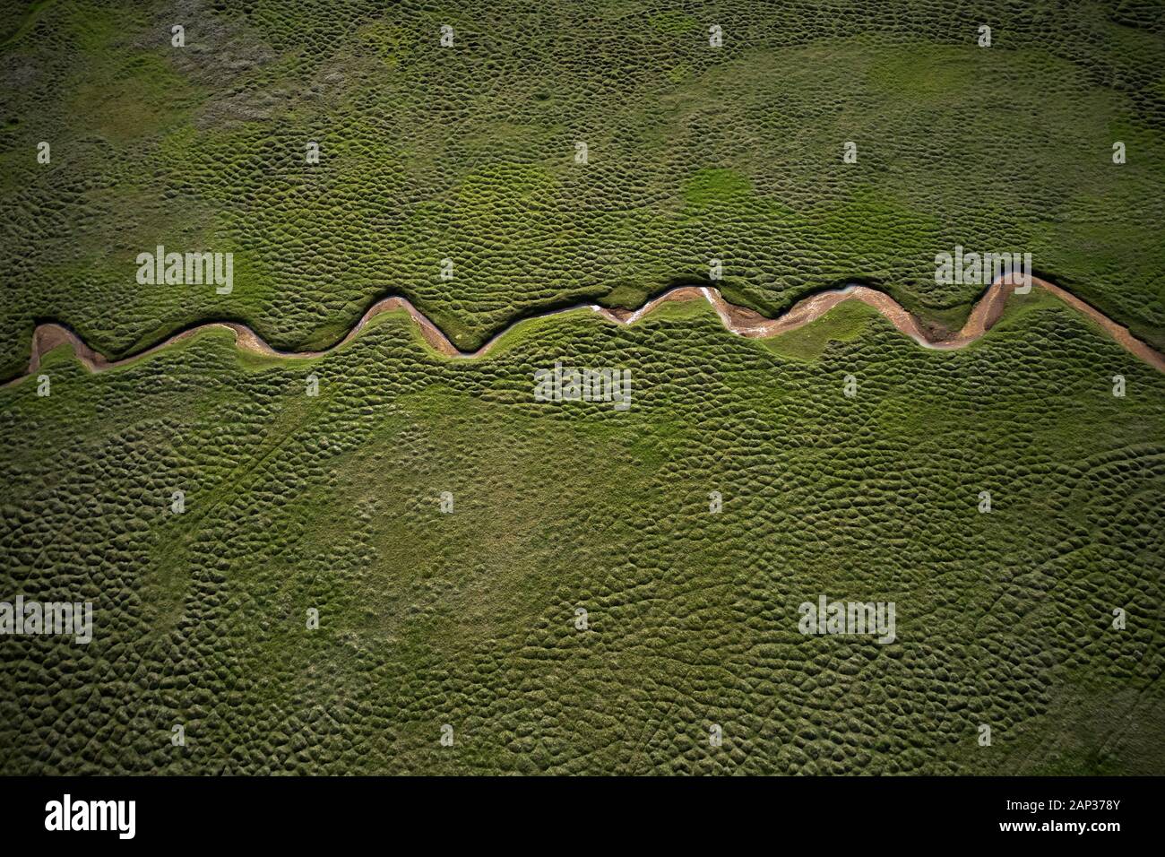 Seamless green terrain background hi-res stock photography and images ...
