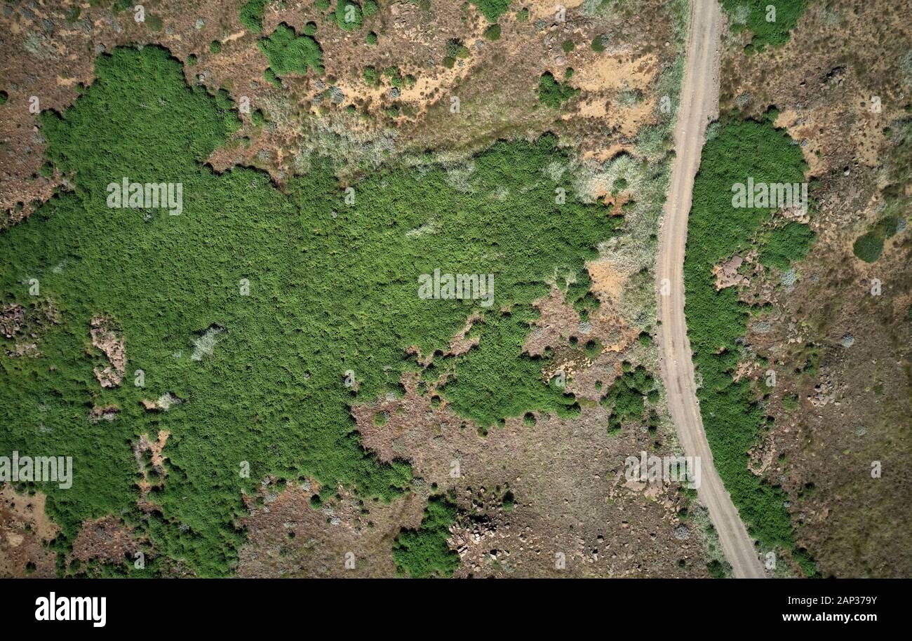 A road through a dry landscape with random bushes Stock Photo - Alamy