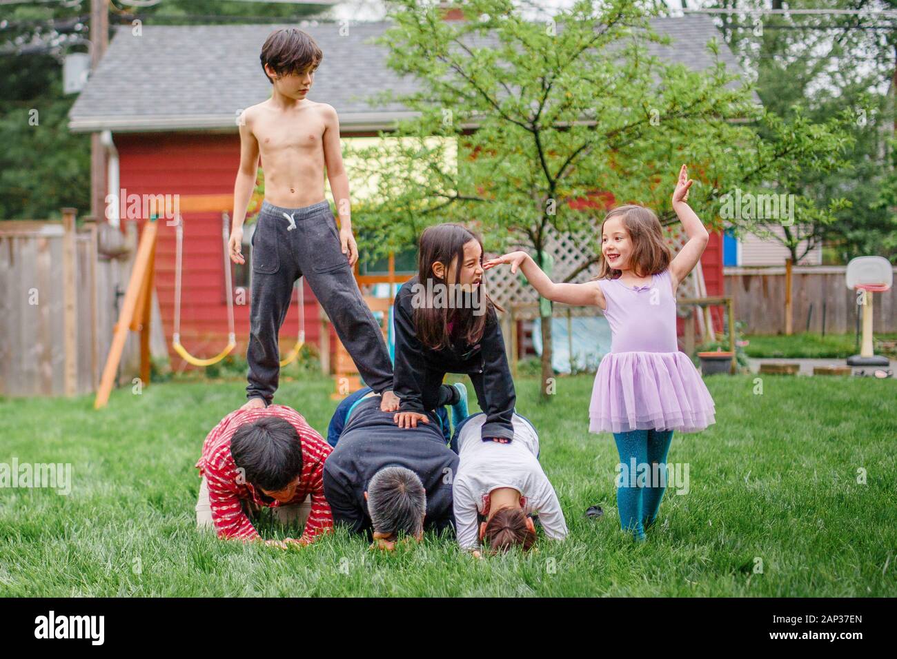 A playful, family builds human pyramid together in backyard Stock Photo ...