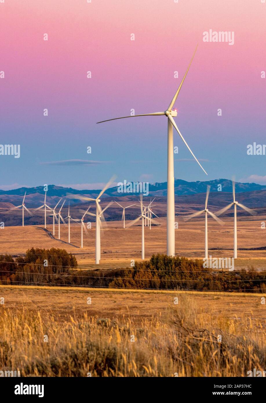 Wind turbines in a field with clear purple sky Stock Photo - Alamy
