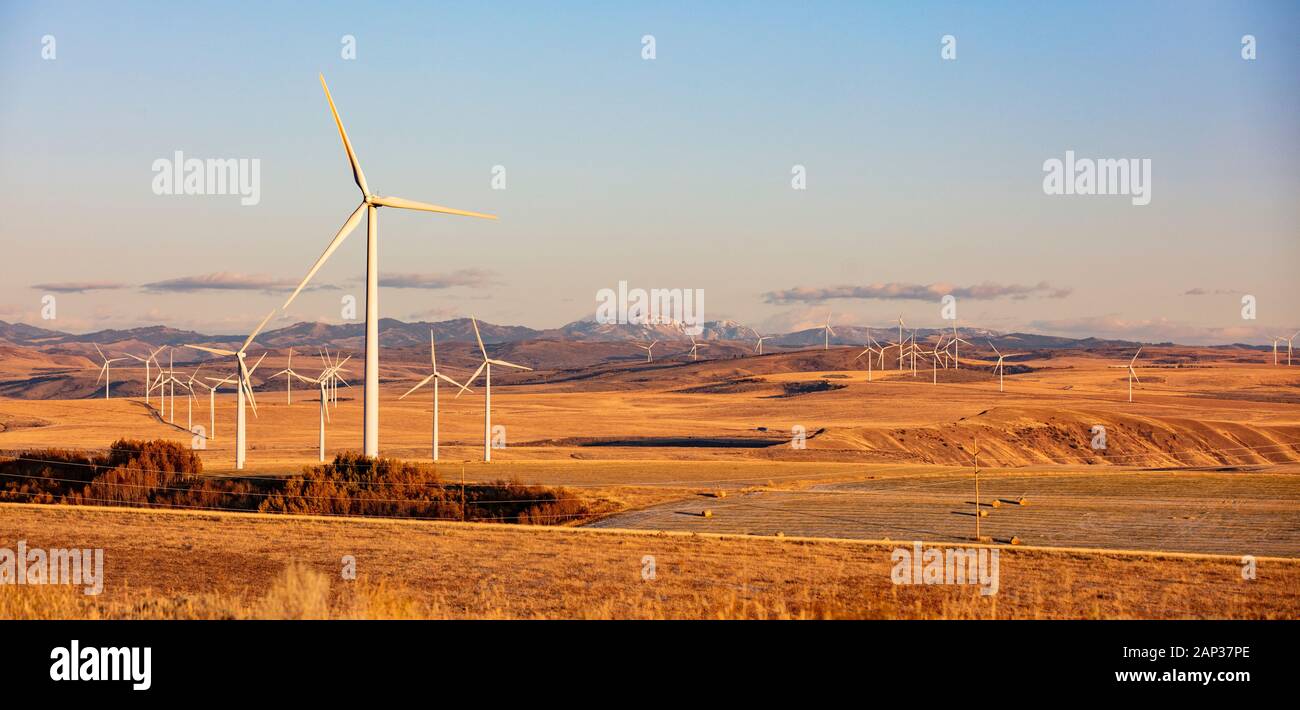 Wind turbines in a field with blue sky Stock Photo - Alamy