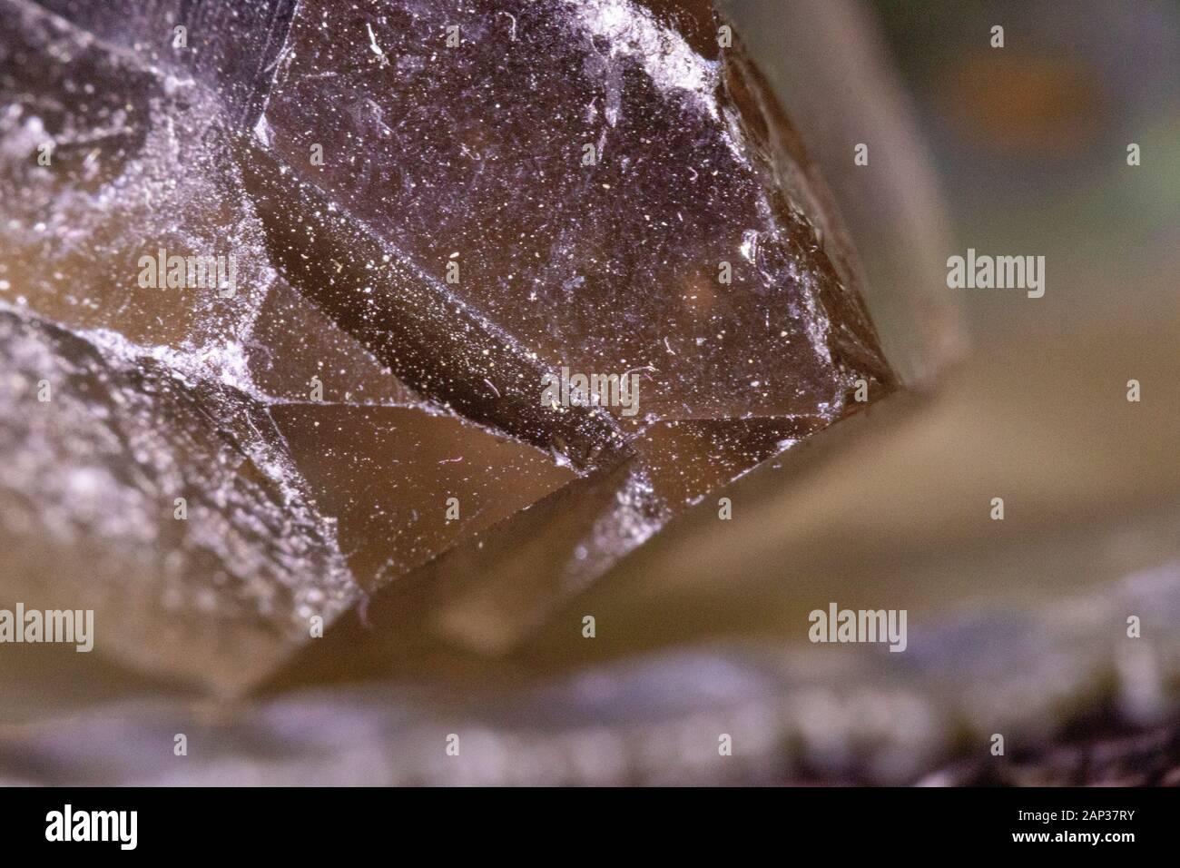 Amethyst Crystal close-up Stock Photo - Alamy