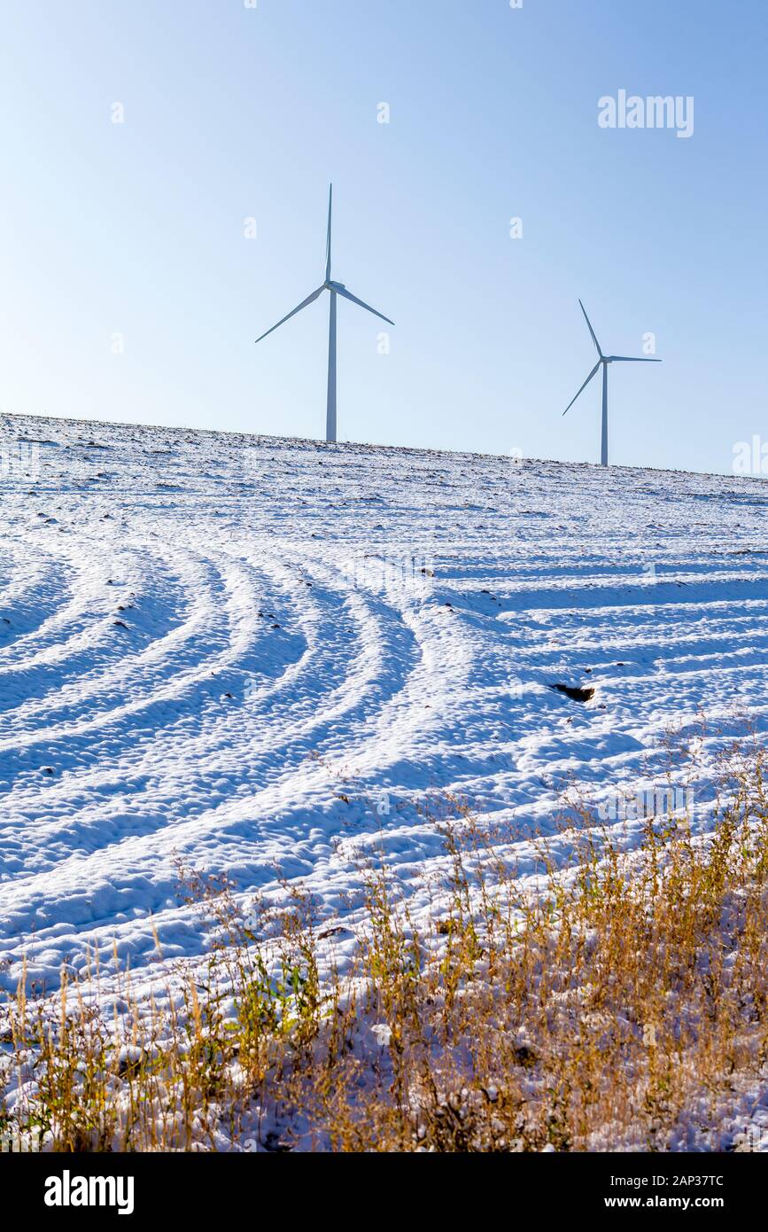 Wind turbines in a snow covered field with blue sky Stock Photo - Alamy