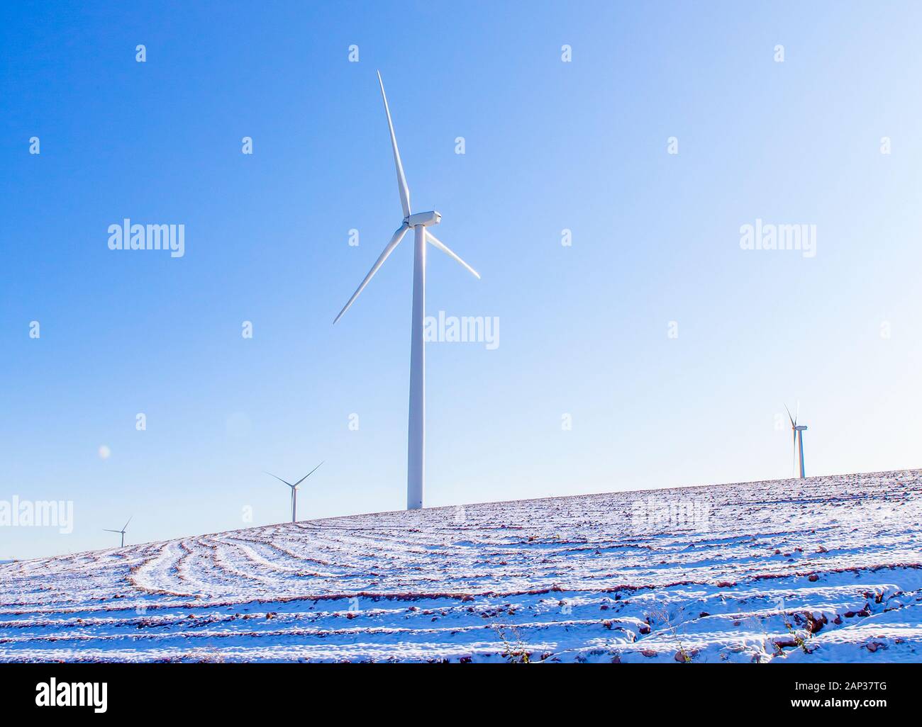Wind turbines in a snow covered field with blue sky Stock Photo - Alamy
