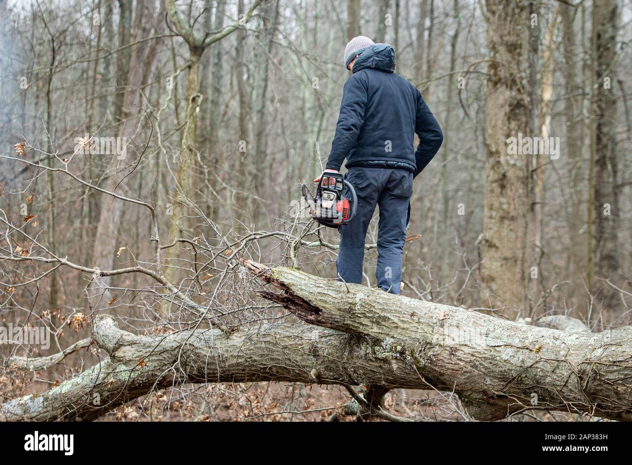 Gas powered saw hi-res stock photography and images - Alamy
