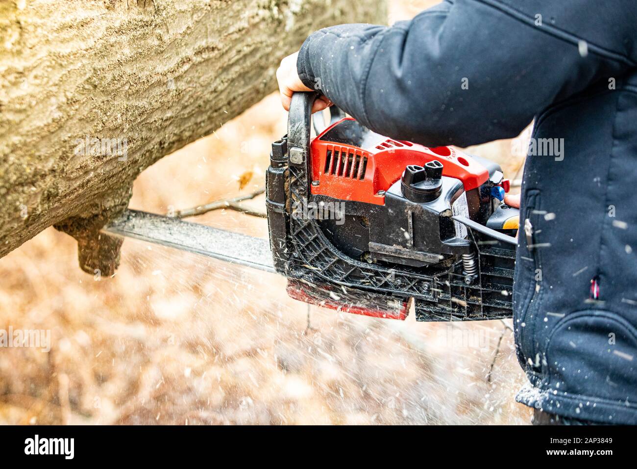 Gas powered saw hi-res stock photography and images - Alamy