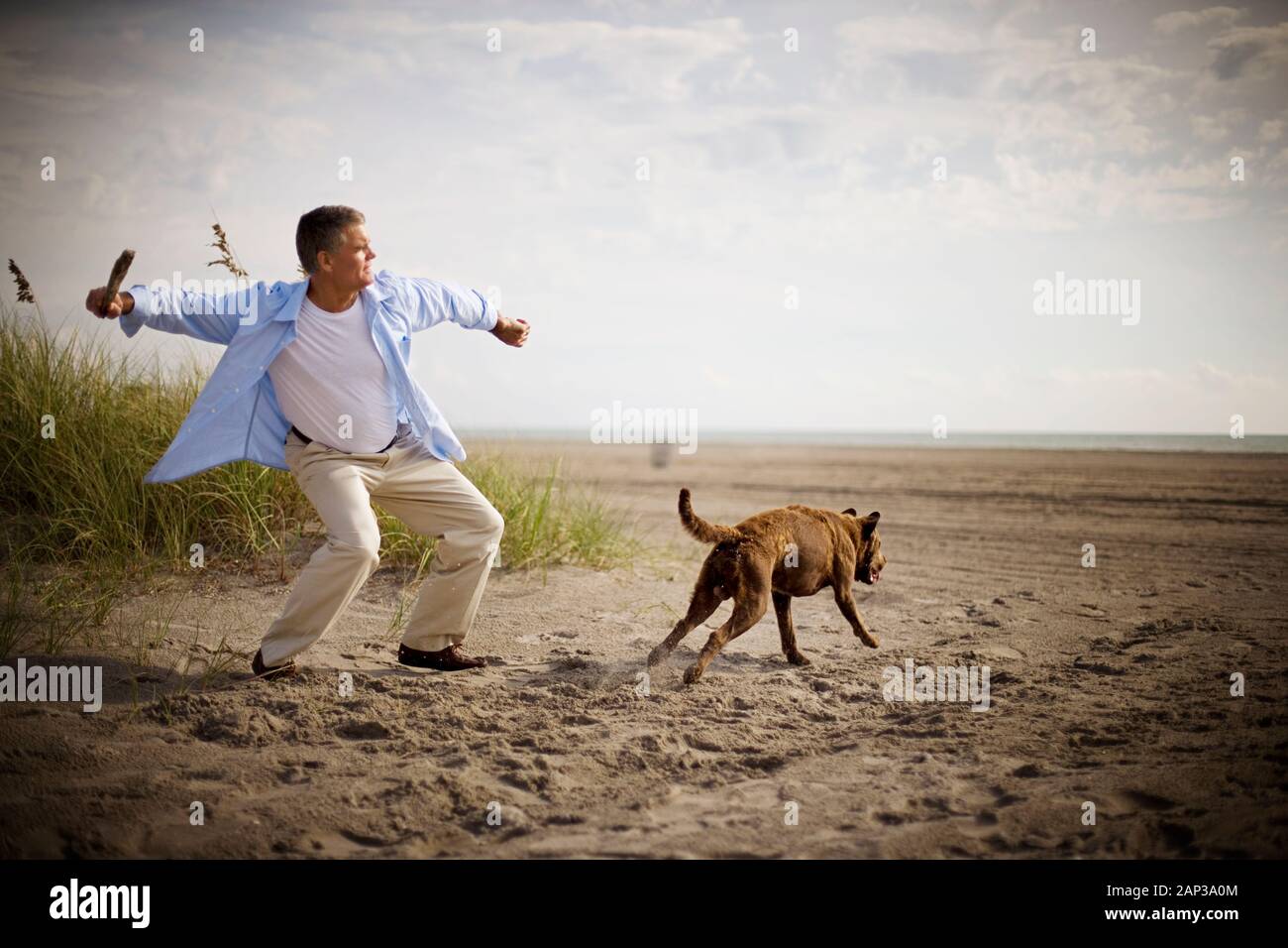Mature adult man throwing a stick for his dog on a beach Stock Photo ...