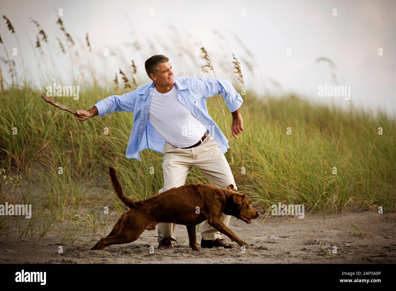 Mature adult man throwing a stick for his dog on a beach Stock Photo ...