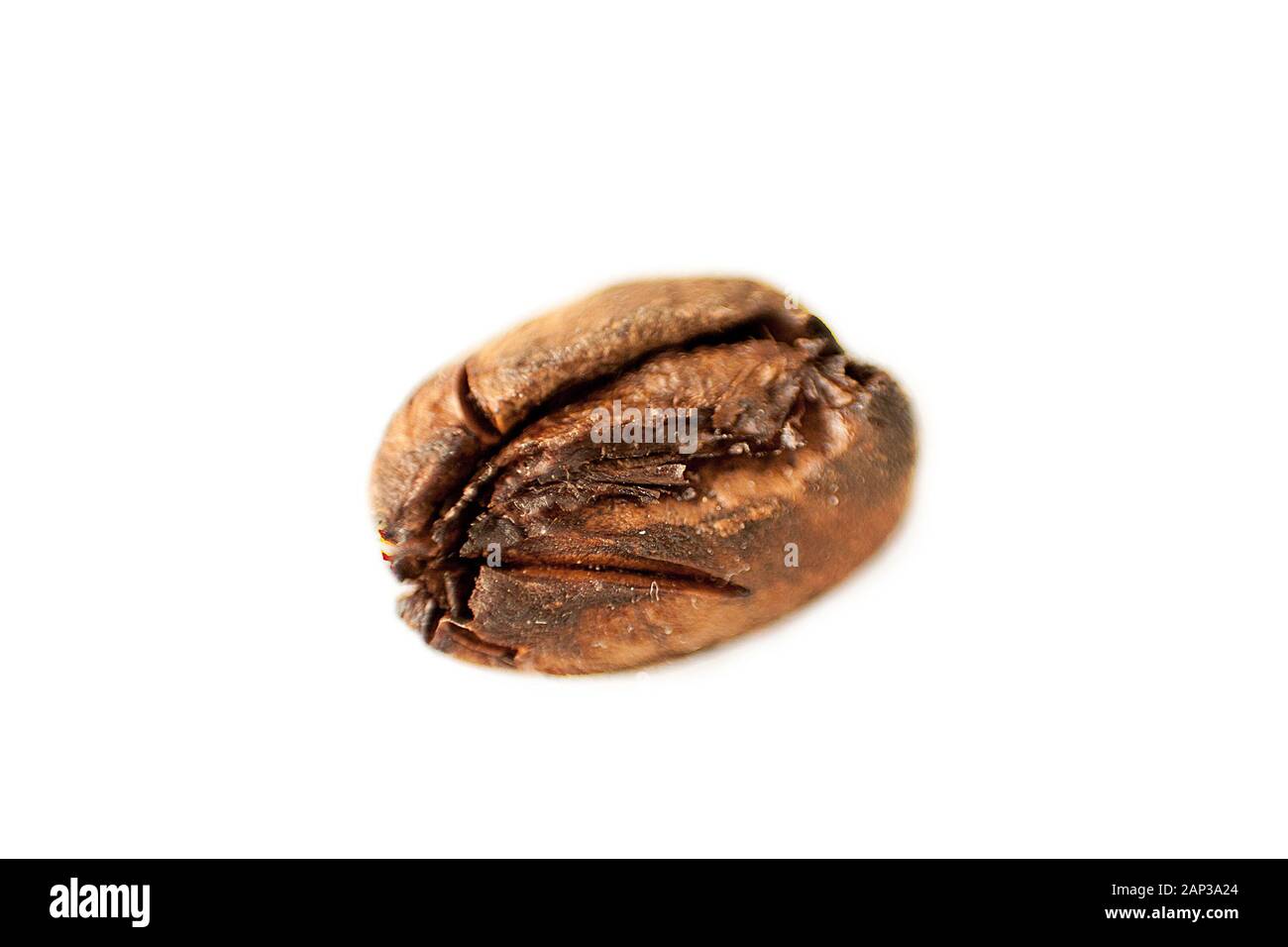 Shiny fresh roasted coffee bean isolated on white background Stock ...