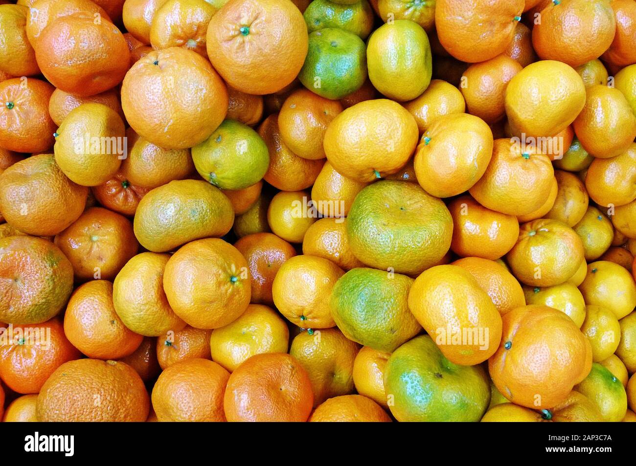Sicilian mandarins hi-res stock photography and images - Alamy
