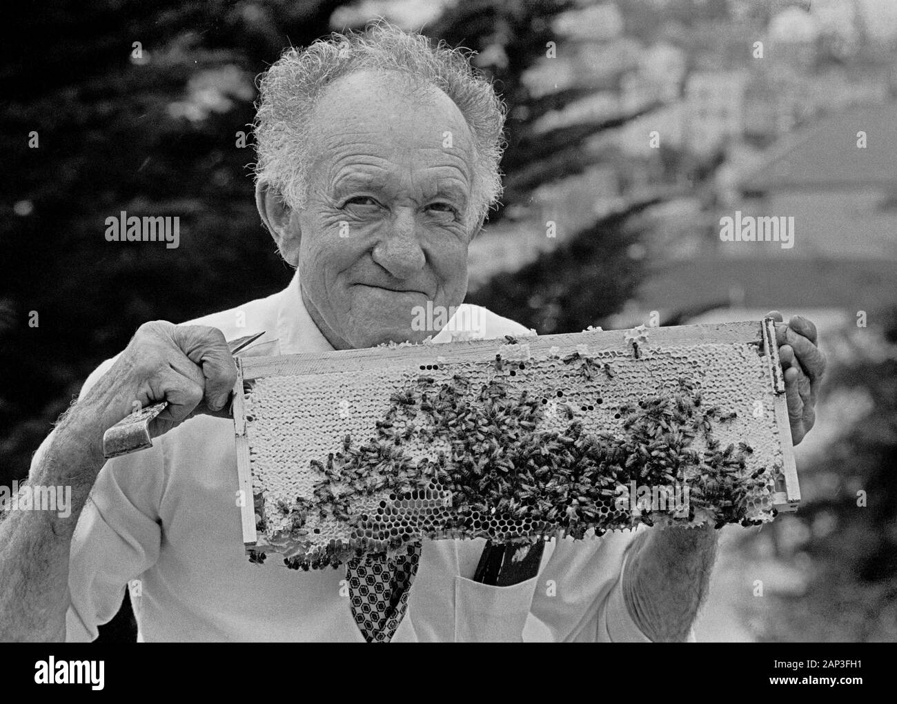 Louis Dubay, San Francisco beekeeper Stock Photo - Alamy