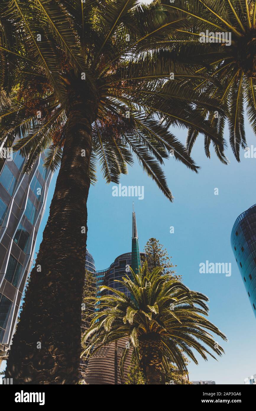 Barrack street jetty hi-res stock photography and images - Alamy