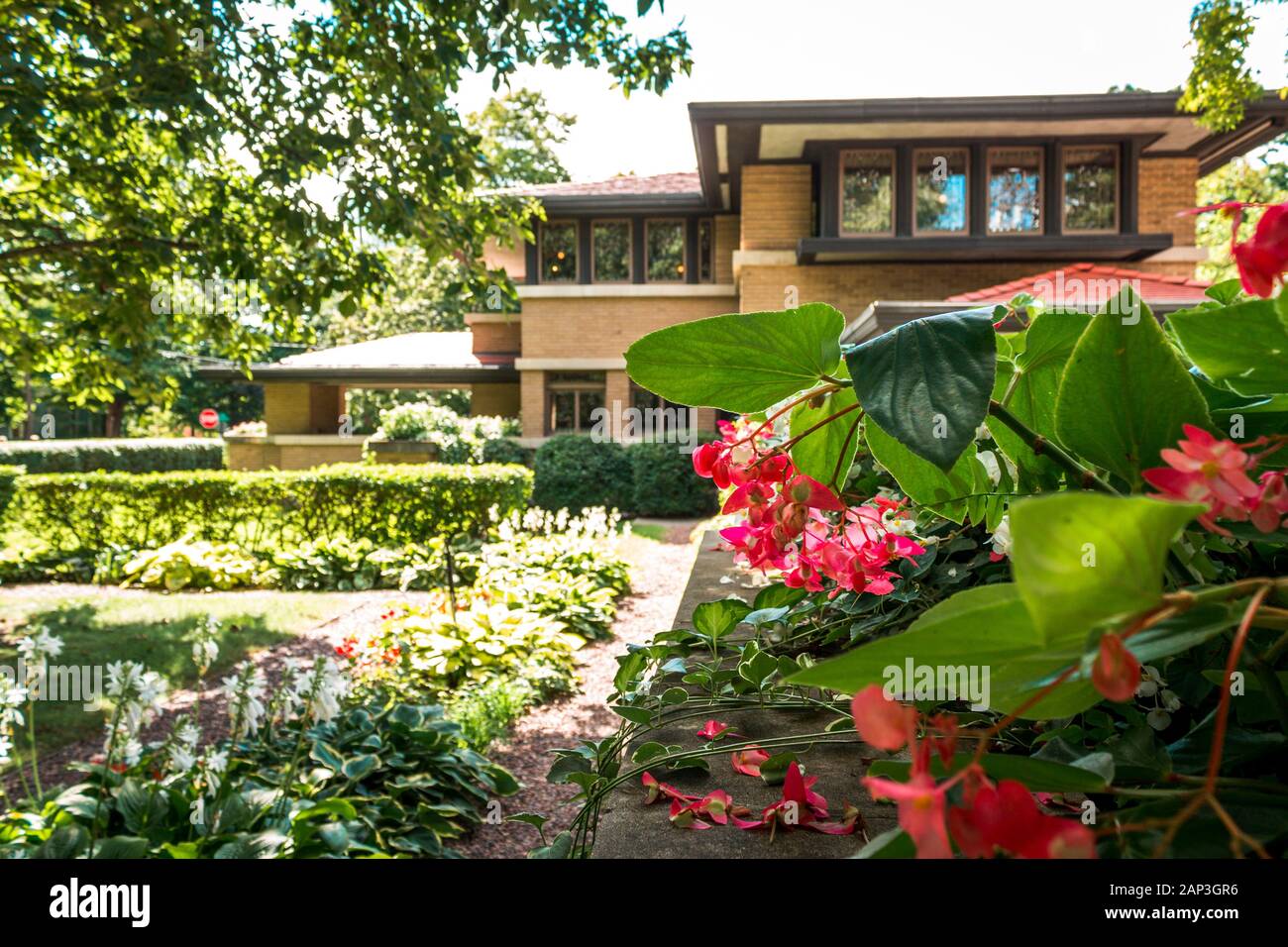 Landscape shot of the Meyer May house built by Frank Lloyd Wright from ...