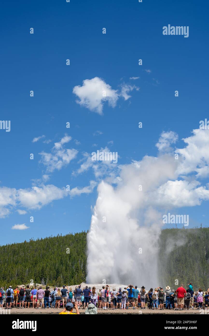 Yellowstone National Park, United States: July 14, 2019: Crowds Stand ...