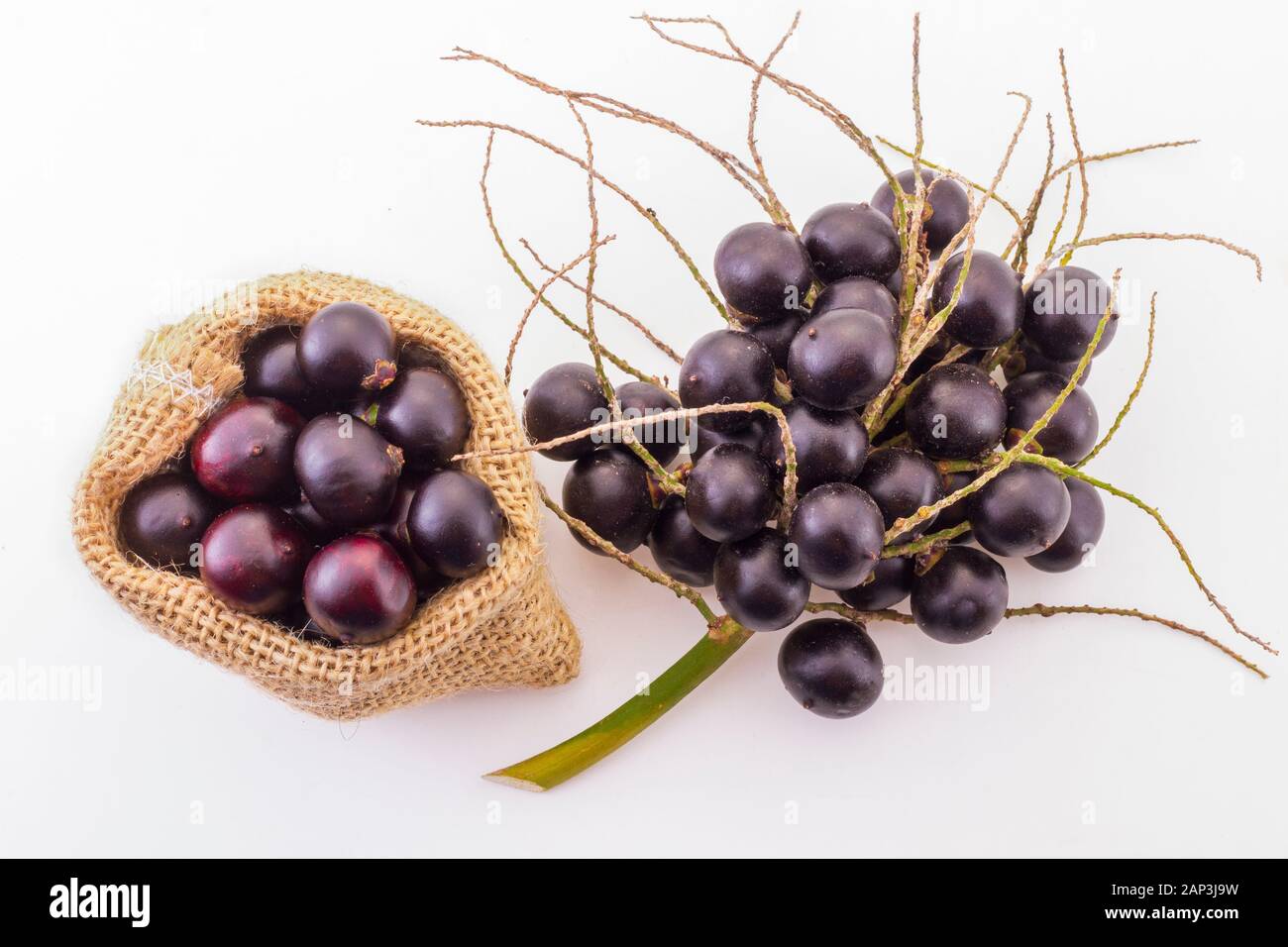 acai fruit on a white background (Euterpe Oleracea Stock Photo - Alamy