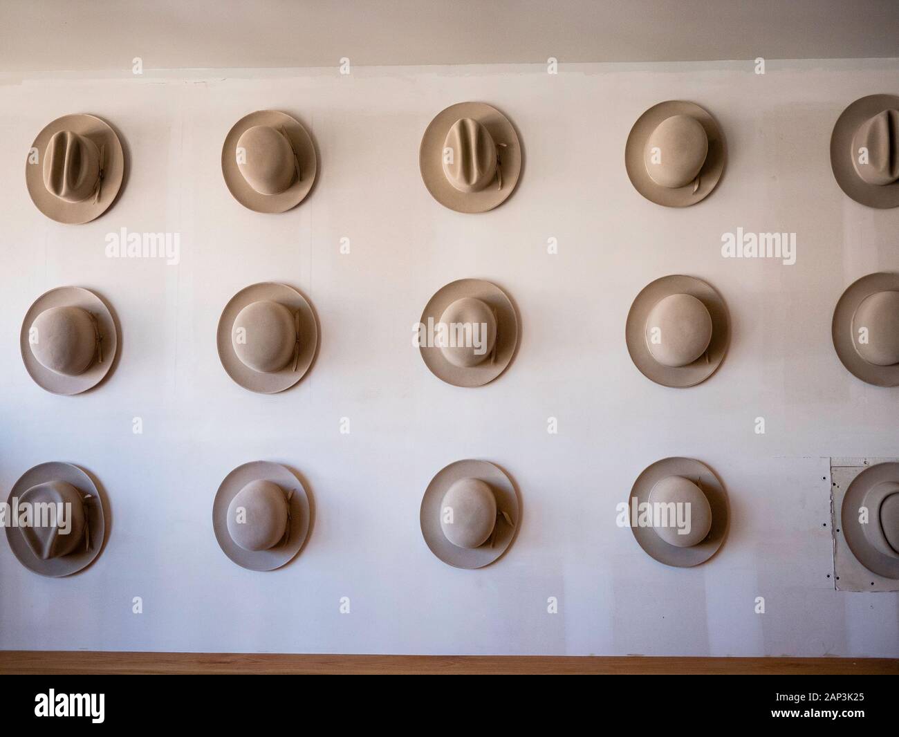 Wall display of various shapes and colors of hats in retail store Stock ...