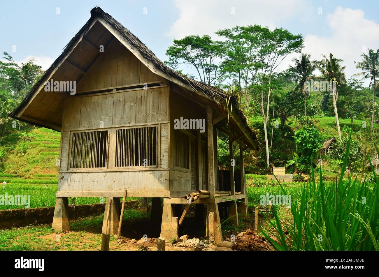 an ethnic wooden house in the forest in Tasikmalaya, West Java ...
