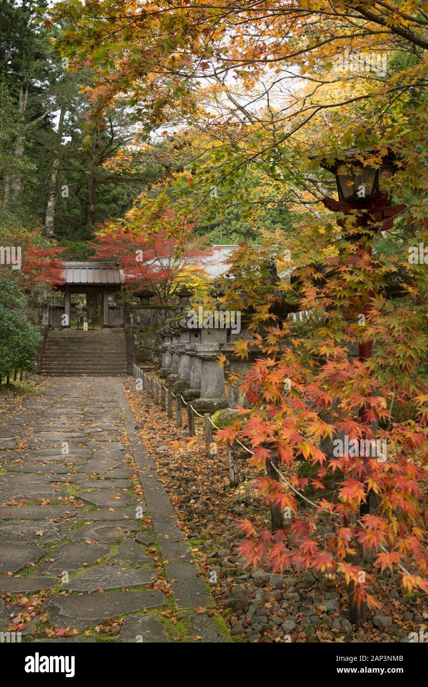 Pathway to shrine Nikko Japan Stock Photo - Alamy