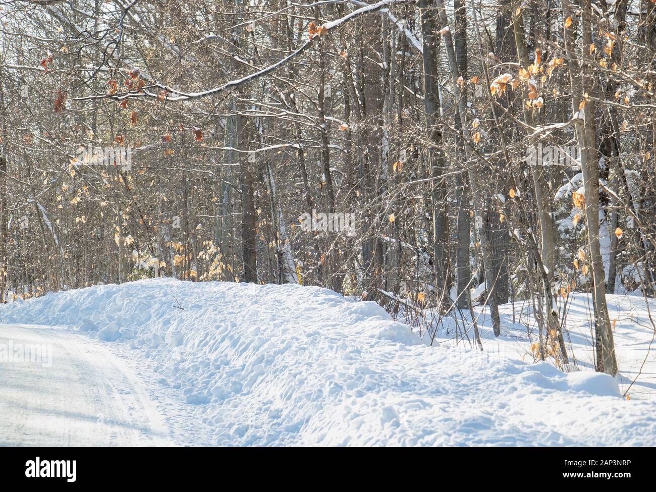 Sunlit road hi-res stock photography and images - Alamy