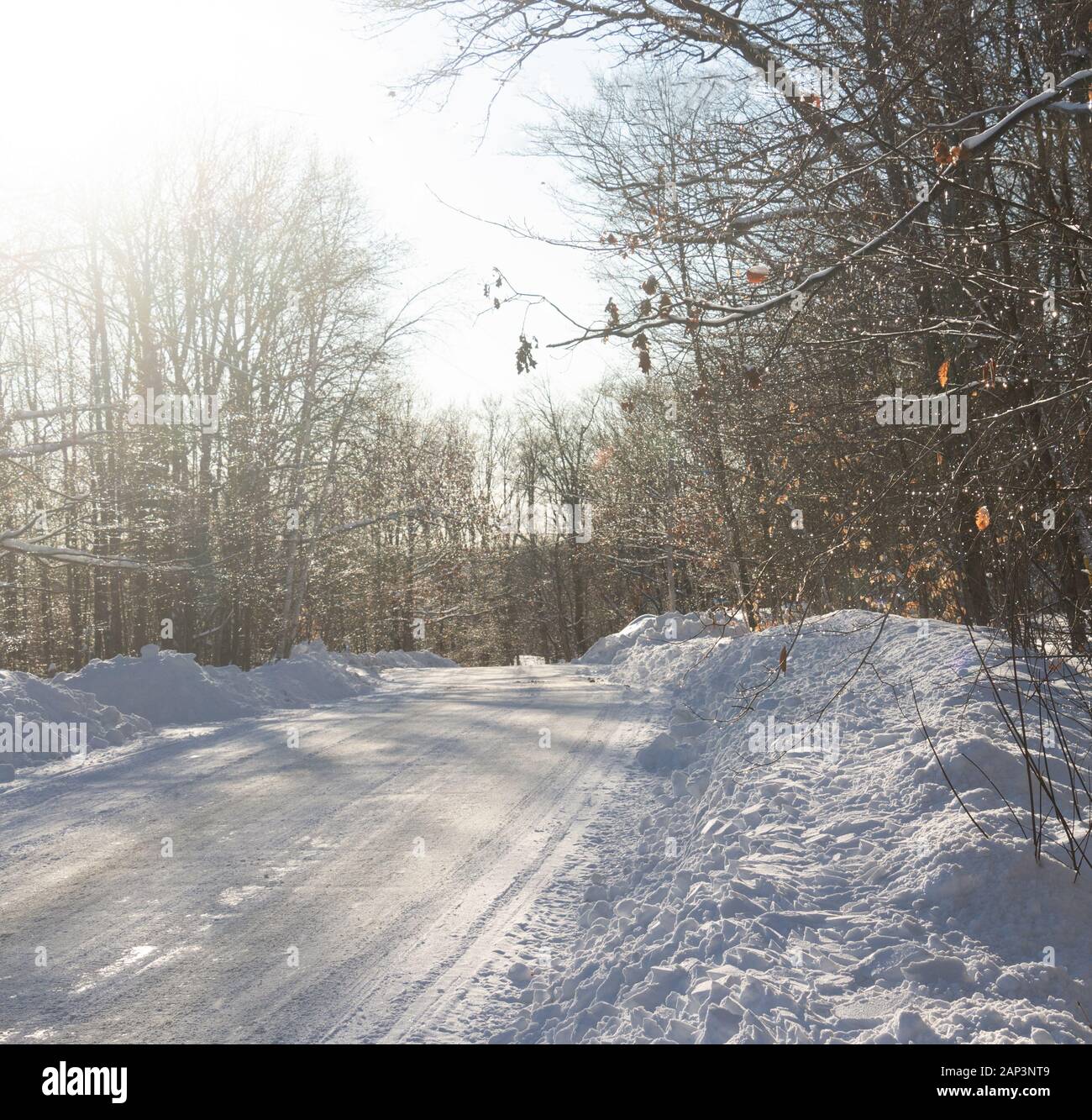 Diffuse sunlight hi-res stock photography and images - Alamy