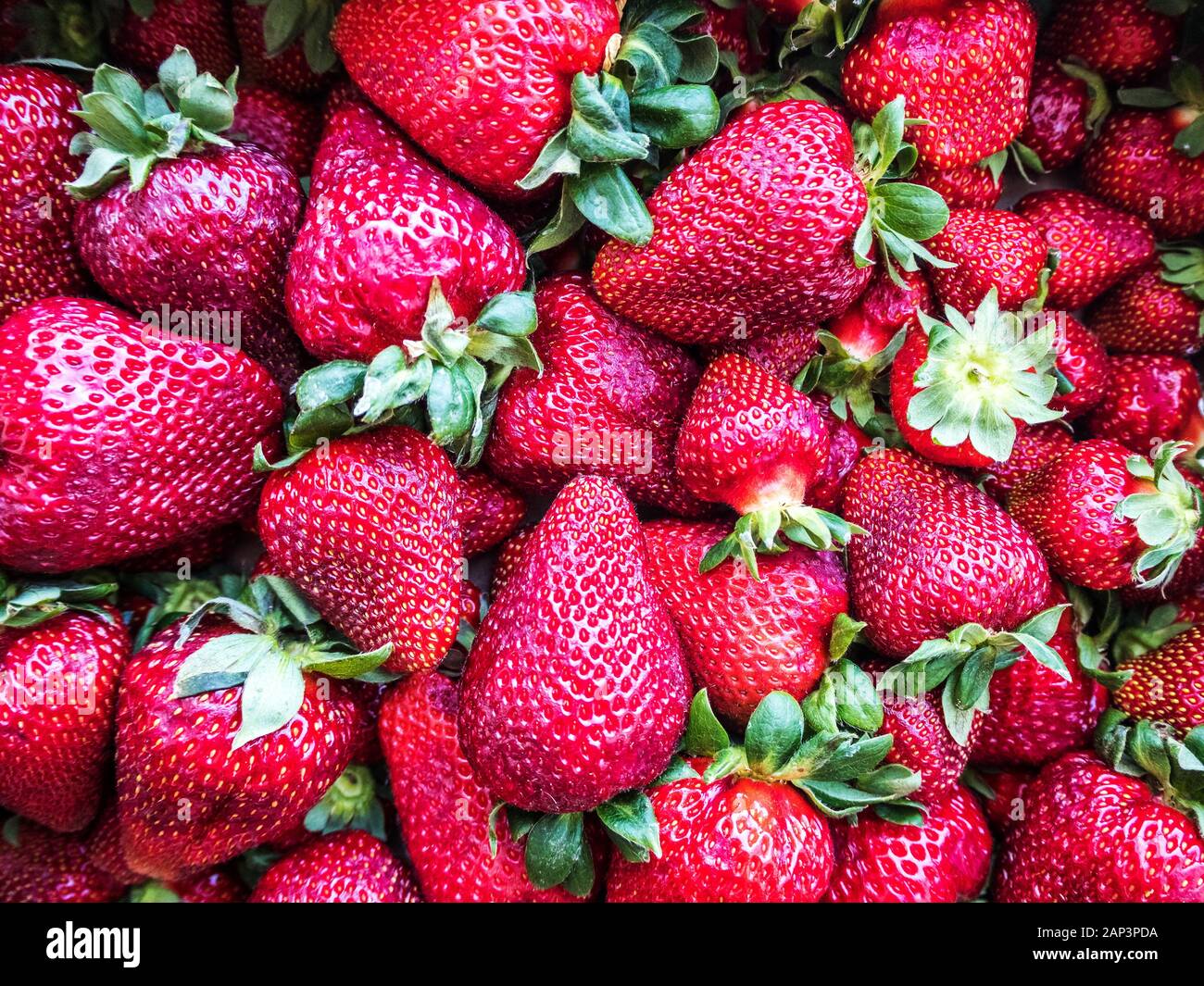 Big red tasty strawberries close angle. Russia Stock Photo - Alamy