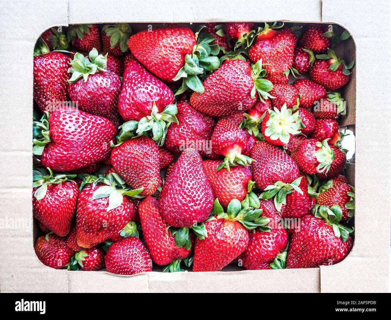 Big red tasty strawberries close angle. Russia Stock Photo - Alamy