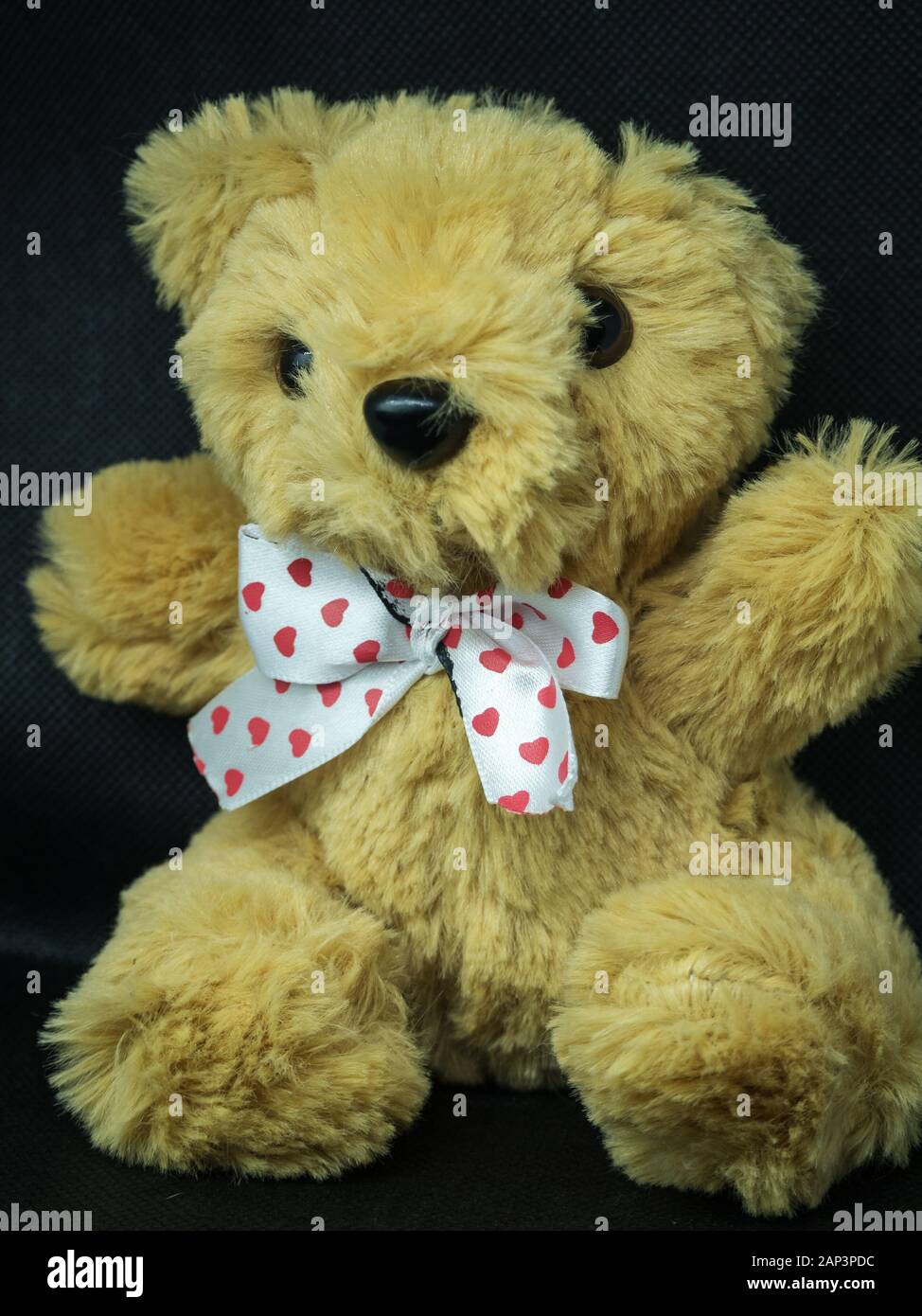 Toy teddy bear with bow close angle Stock Photo - Alamy