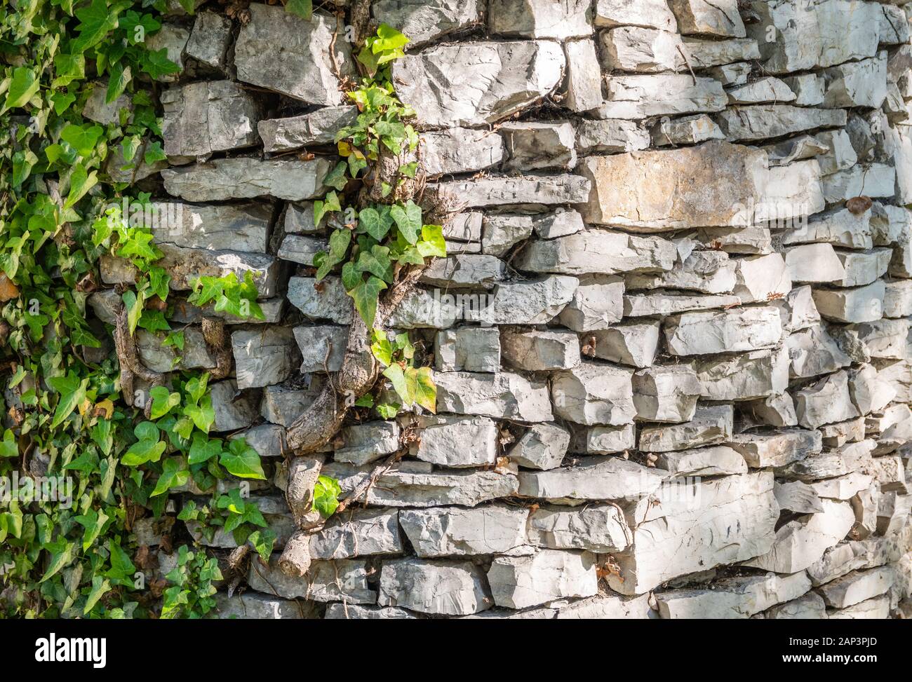 Ancient stone wall overgrown with grass. The texture of the old wall ...