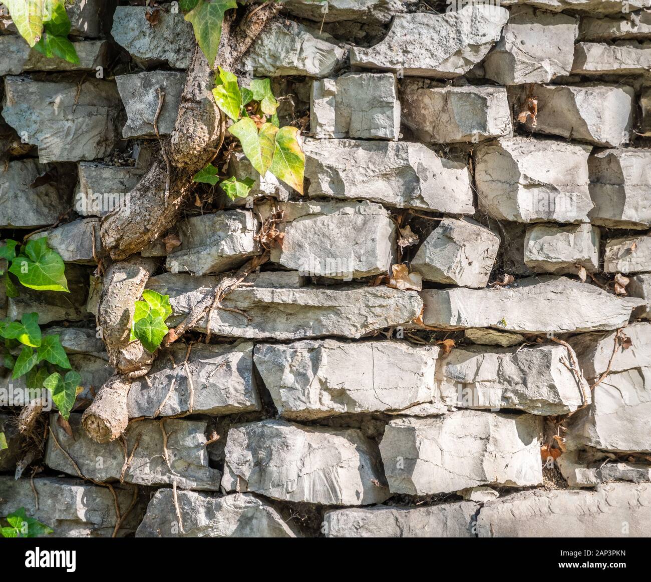 Ancient stone wall overgrown with grass. The texture of the old wall ...