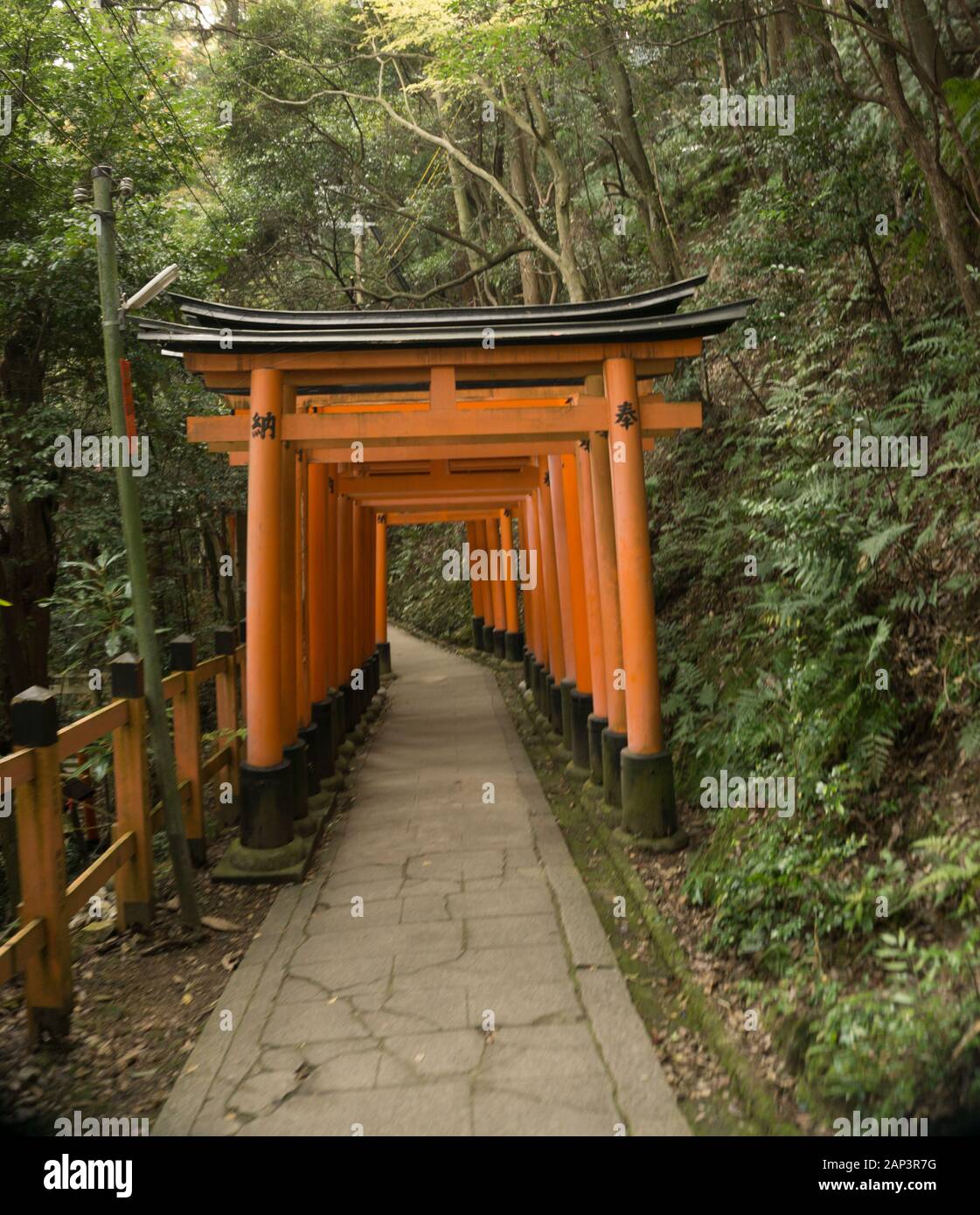 Walkway at Fushimi Inari Kyoto Japan Torii Gate in Autumn Stock Photo ...