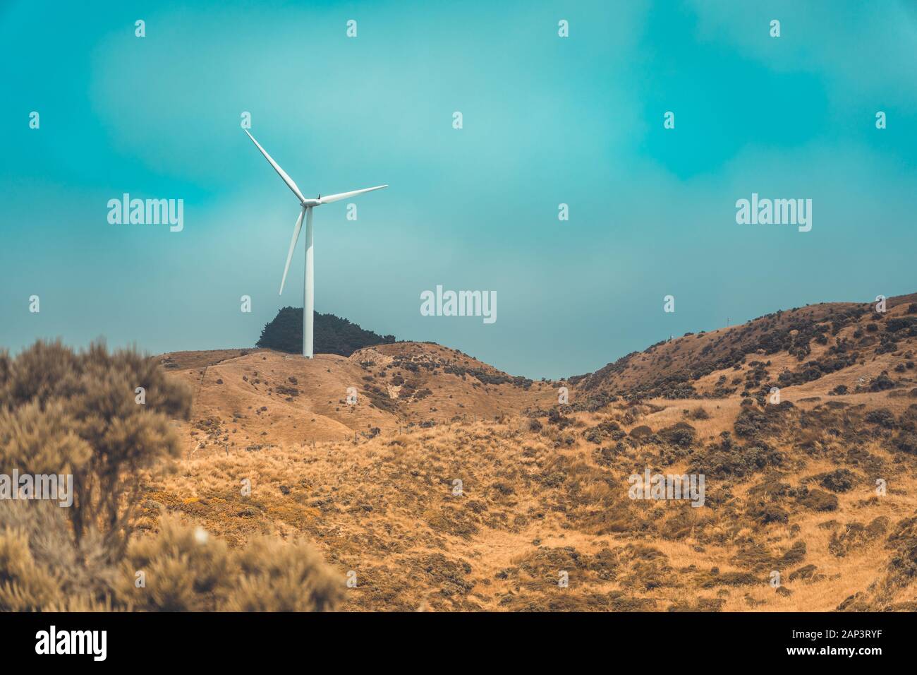 Landscape With Wind Turbine farm in Wellington, New Zealand Stock Photo ...