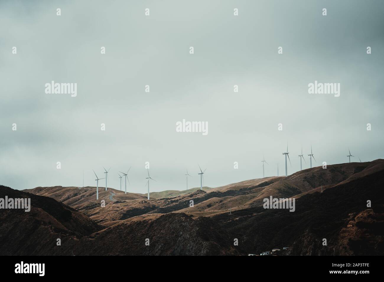 Landscape With Wind Turbine farm in Wellington, New Zealand Stock Photo ...