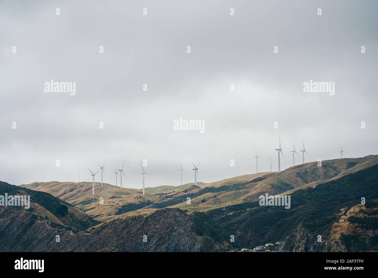 Landscape With Wind Turbine farm in Wellington, New Zealand Stock Photo ...